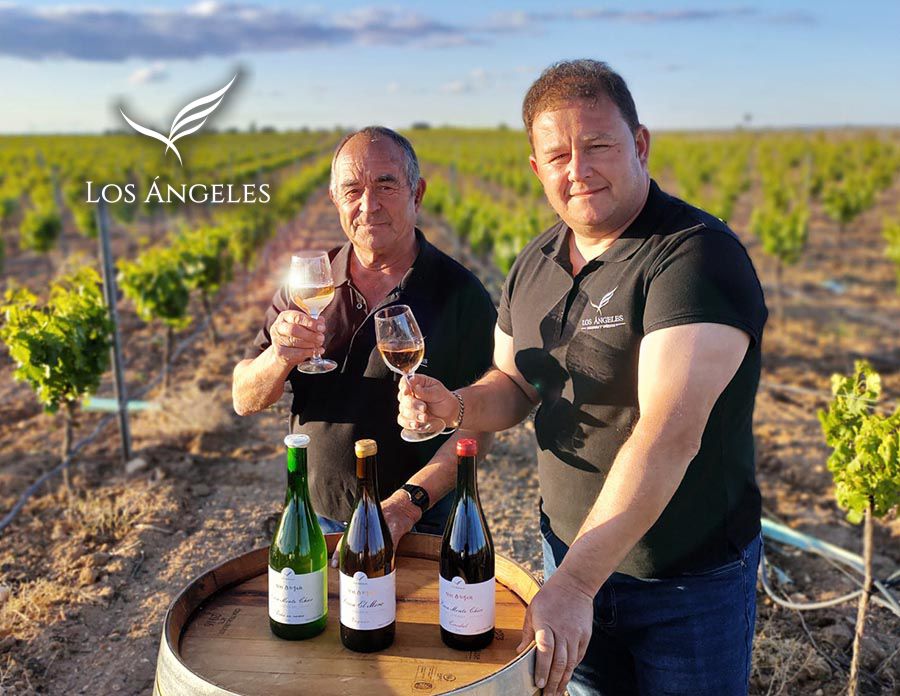 TRES VINOS DE BODEGAS LOS ÁNGELES GALARDONADOS POR LA PRESTIGIOSA GUÍA ...